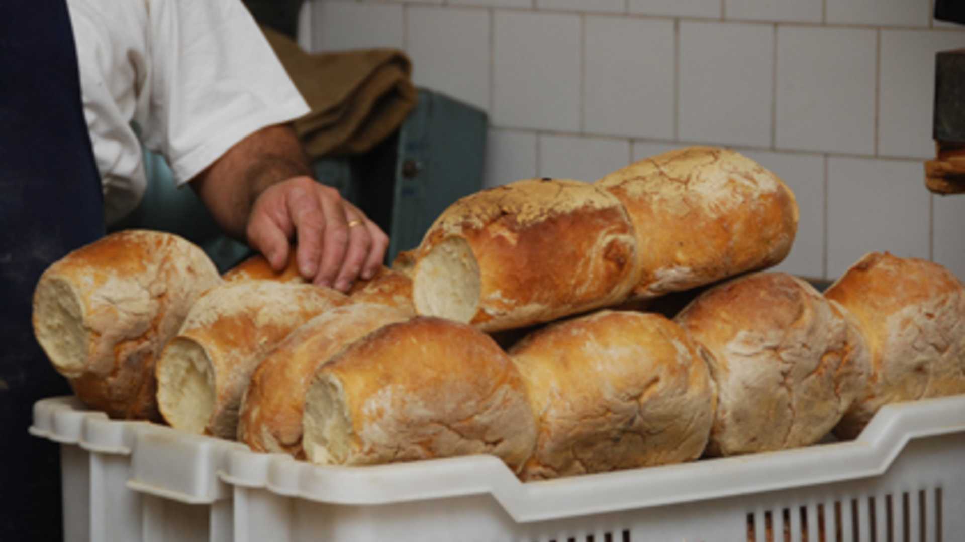 Alpha School of English Language - Maltese traditional food & drinks